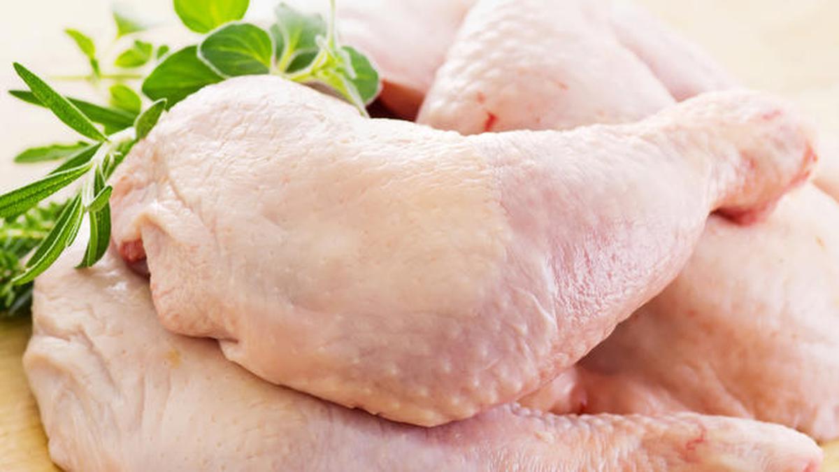 Menu Sahur: Sup Ayam Pepaya Muda