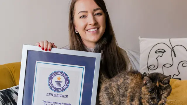 Kenalan dengan Flossie, Kucing Tertua di Dunia Berusia 27 yang Masih ...