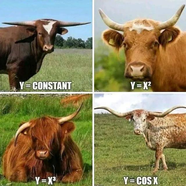 7 Meme Rumus Matematika Bergambar Ini Kocak, Anti Bikin Pusing