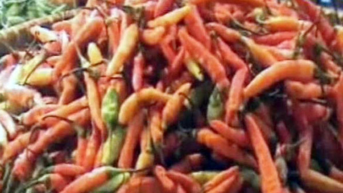 Kekeringan, Harga Cabai Rawit Naik Jadi Rp 60 Ribu per Kg - TV Liputan6.com