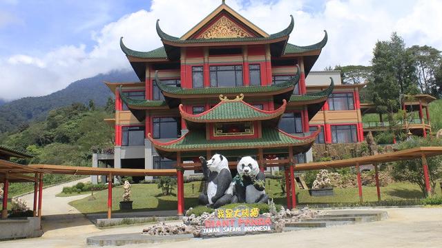 Sediakan Lahan 190 Hektare, Taman Safari Ingin Panda Bahagia - Global ...