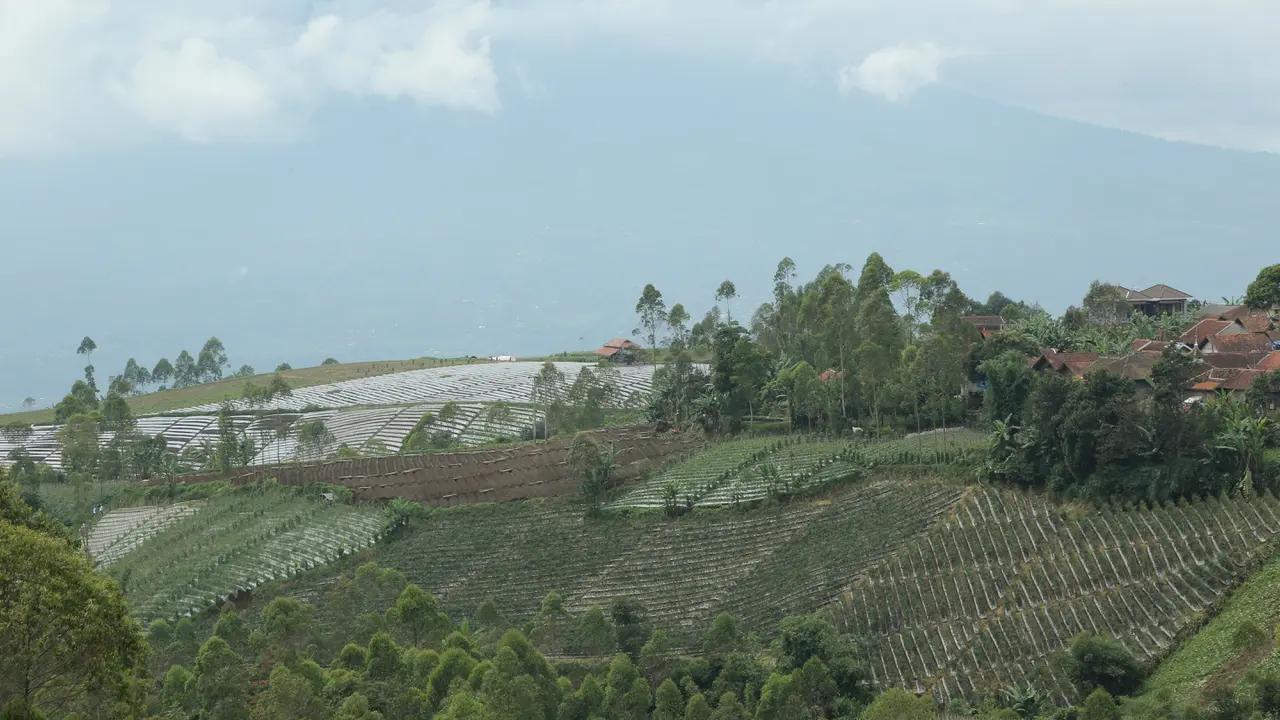 5 Penyebab Erosi yang Patut Diwaspadai, Ketahui Pengertian dan Cara ...