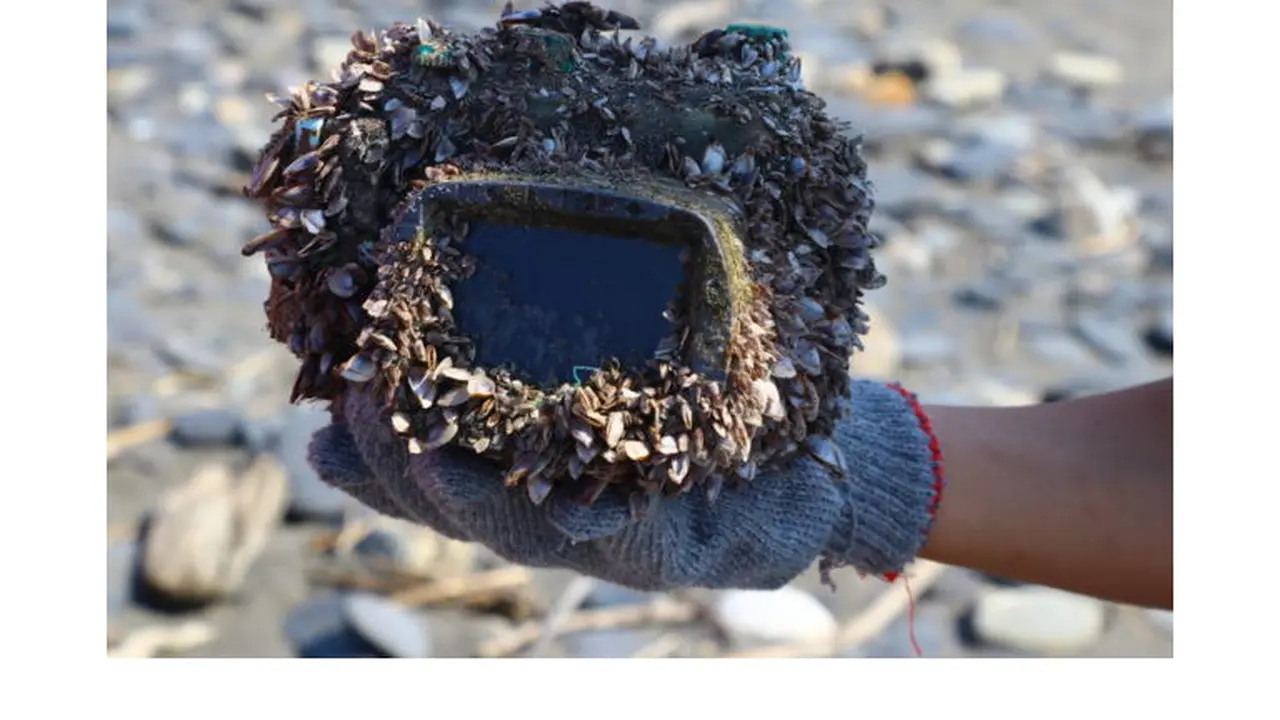 Awas, Ini 5 Jenis Parasit yang Bisa Menyerang Tubuh Manusia - Global ...