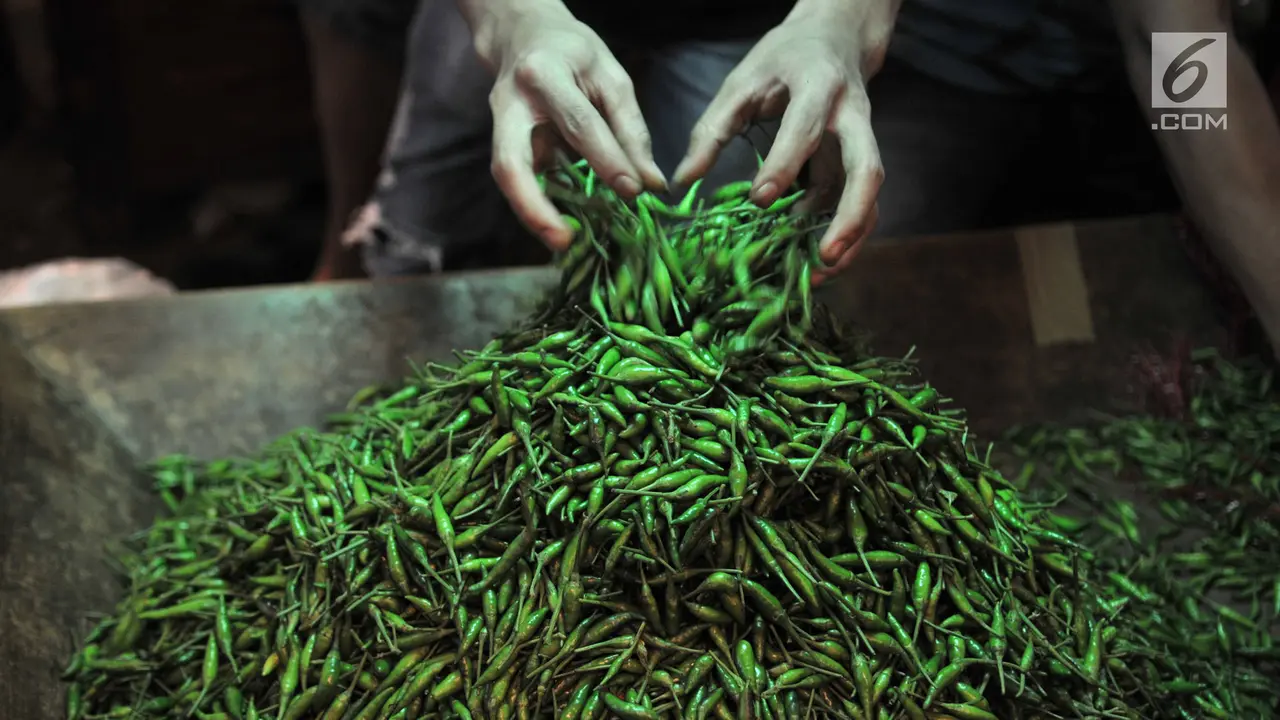 Jelang Idul Adha 2023, Harga Cabai Makin Pedas - Bisnis Liputan6.com