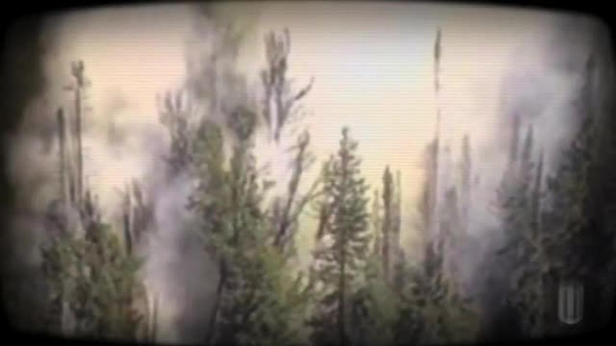 6 Kebakaran Hutan Terbesar dan Terparah dalam Sejarah - Video Liputan6.com