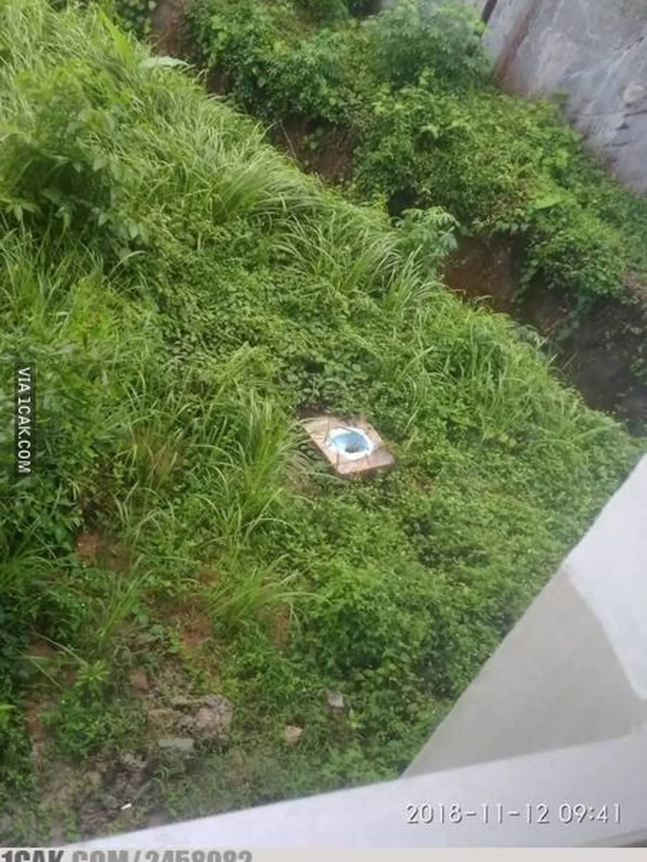 6 WC Umum Pakai Konsep Menyatu dengan Alam Ini Bikin Enggak Habis Pikir - Hot Liputan6.com