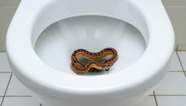 PT Pinus Merah Abadi, Distributor dan Sales Produk Nabati Group - Hot ...