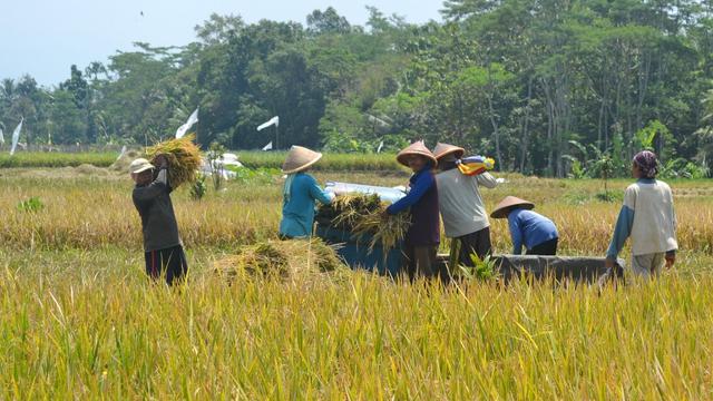 Penjelasan Kementan Soal Alat Pertanian Mangkrak di Purbalingga ...