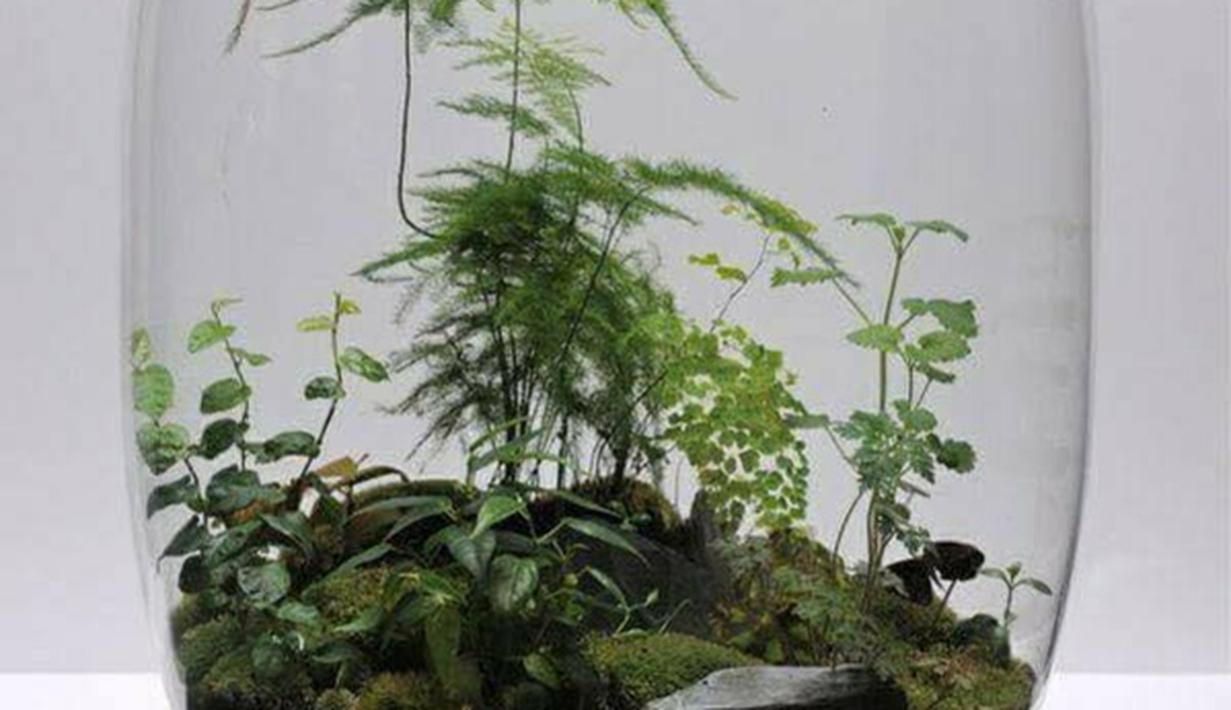 Inspirasi Terarium Cantik Untuk Menghias Meja Kerja - Photo Fimela.com