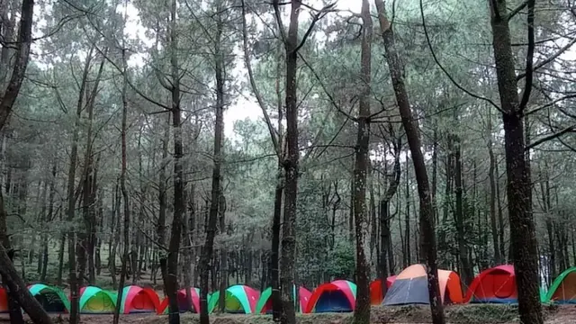 6 Fakta Menarik Gunung Bunder yang Asyik Jadi Tempat Kemping di Bogor ...