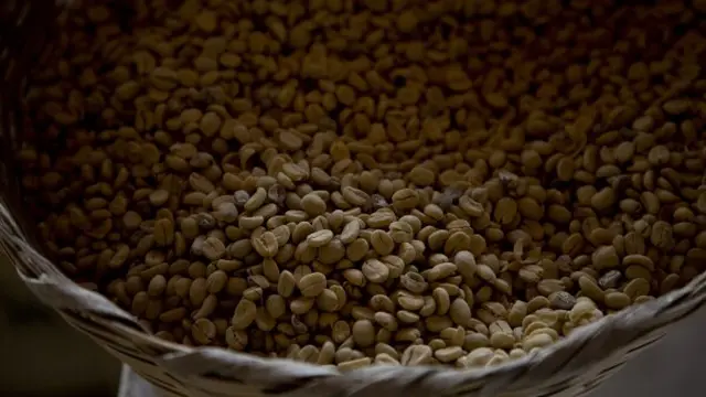 Mengenal Arabika, Jenis Kopi yang Sudah Berusia 600.000 Tahun - Global ...