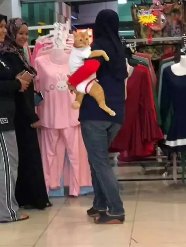 10 Potret Lucu Kucing saat Digendong, Ada yang Dipeluk Hingga Pakai ...