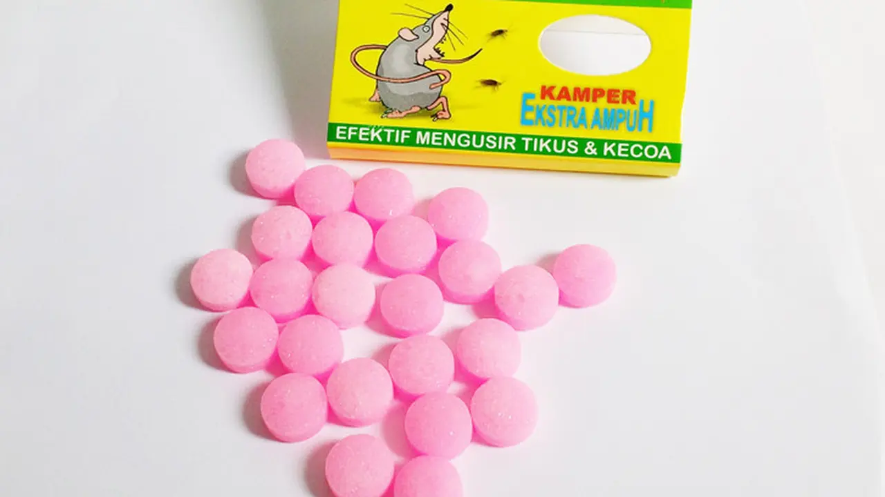 7 Cara Mencegah Kabel Digigit Tikus, Penting Dipahami - Hot Liputan6.com