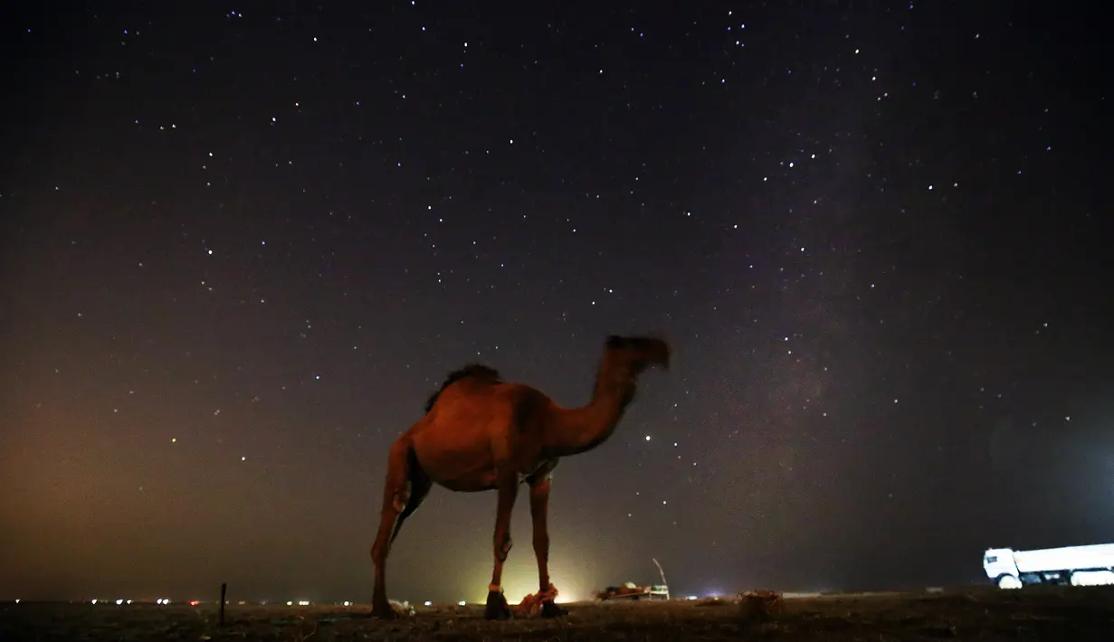 FOTO: Keindahan Galaksi Bima Sakti di Gurun Mutriba Kuwait - Foto ...