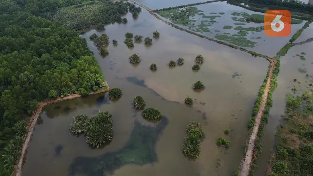 Delta Adalah Endapan di Muara Sungai, Kenali Jenis dan Proses ...