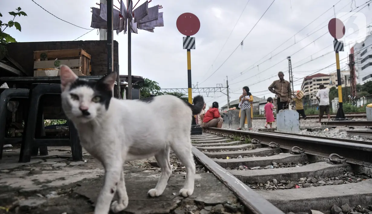 Potret Permukiman di Bantaran Rel Kereta - Foto Liputan6.com