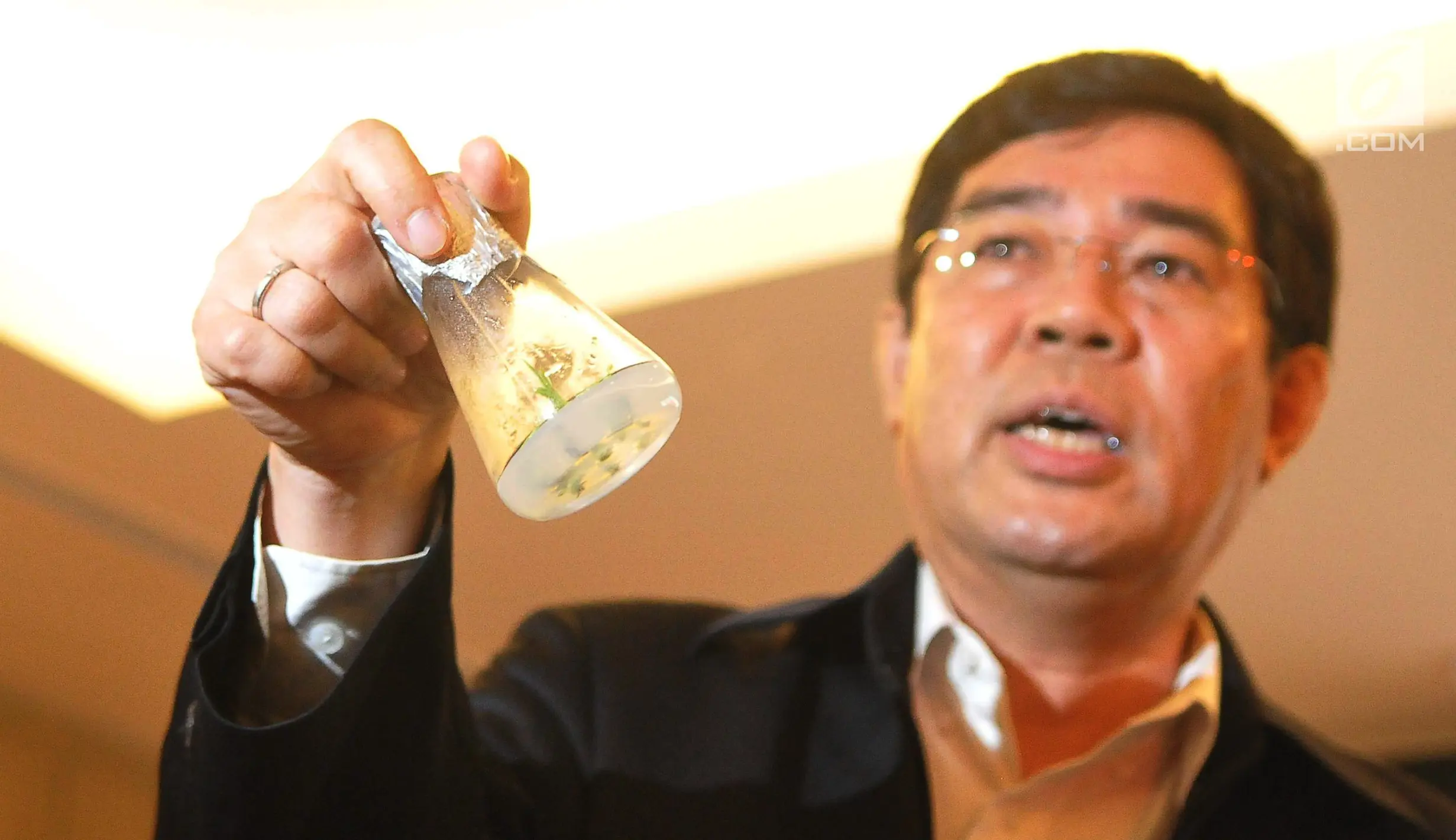 Temuan Bibit Baru Siap Tingkatkan Produktivitas Minyak Kelapa Sawit ...