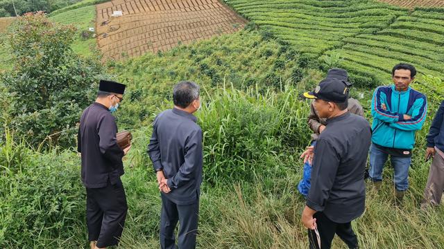 Mimpi Garut Jadi Pemasok Utama Sayuran untuk Jawa Barat - Regional ...