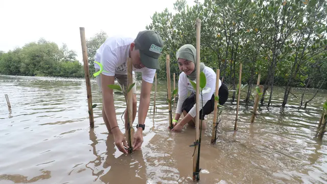 Mangrove Project - Untuk Satu Bumi 2024 Digelar di 5 Provinsi ...