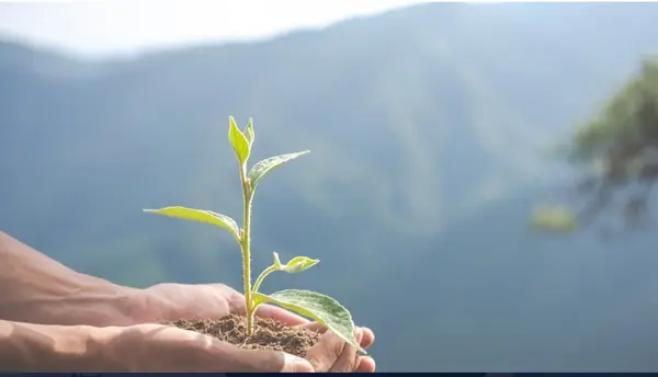 Salep Sagestam untuk Apa? Manfaat, Dosis, dan Cara Penggunaan yang ...