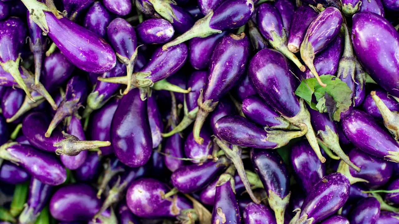 7 Jenis Sayur yang Dapat Dijadikan sebagai Lalapan Masakan Sunda