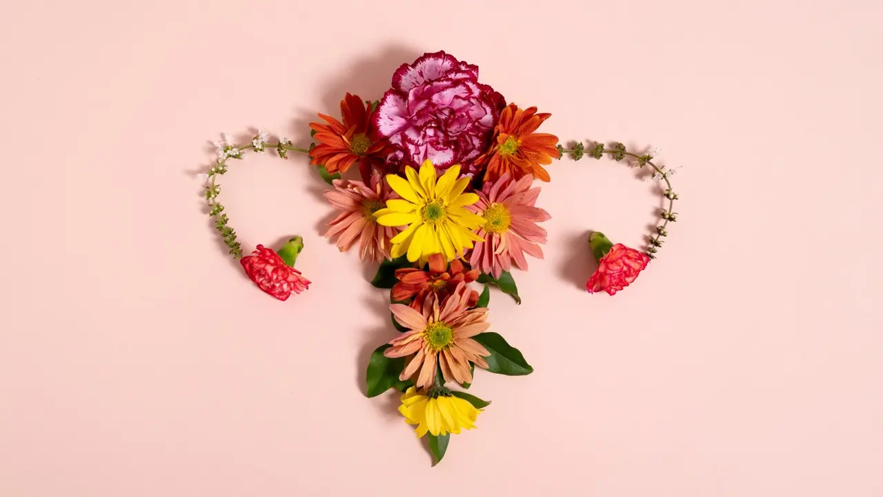 Kapan Masa Subur Wanita Terjadi? Begini 4 Metode Pemeriksaannya - Hot ...