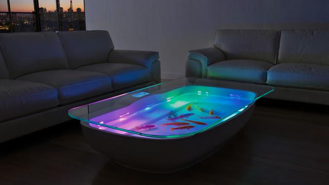 6 Model Kolam Ikan Portable yang Estetik di 2025, Cocok untuk Hiasan ...