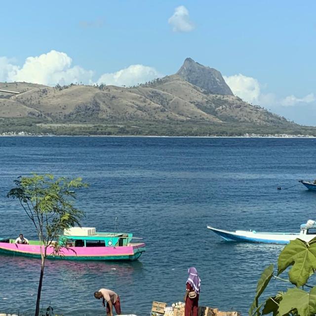 6 Fakta Menarik Puncak Poco Kepi, Titik Tertinggi di Pulau Mules Flores NTT