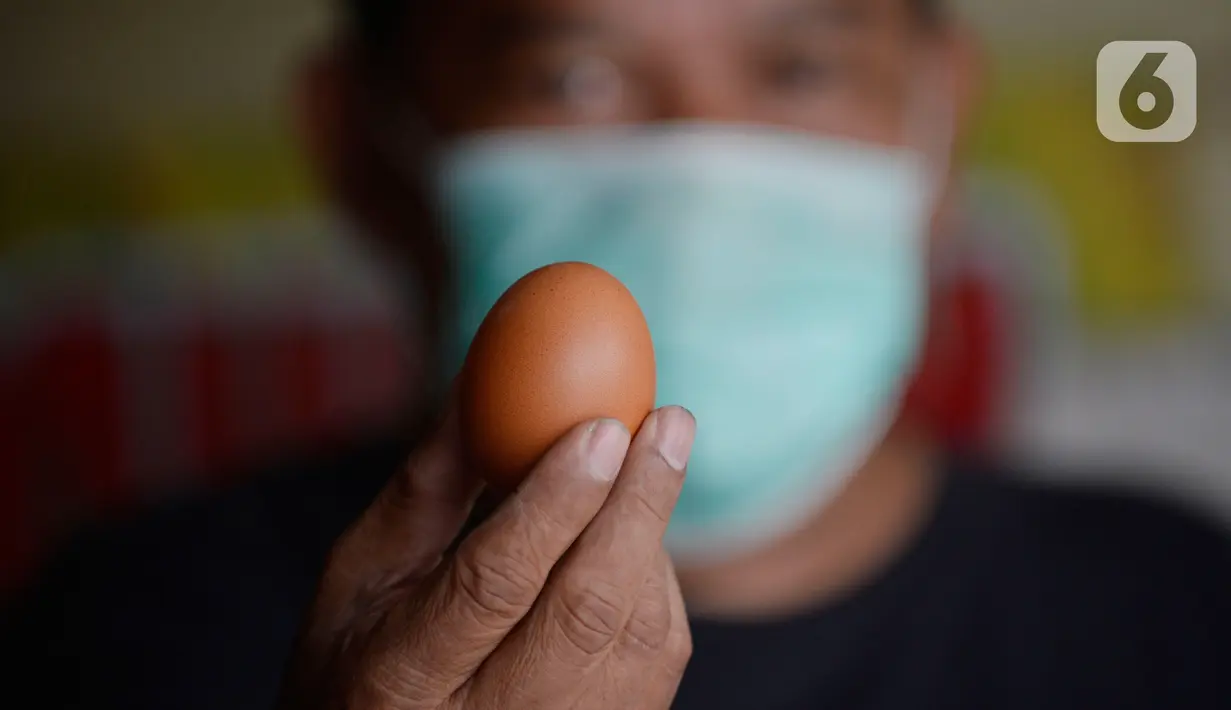 FOTO: Harga Telur Turun di Momen Libur Panjang - Foto Liputan6.com