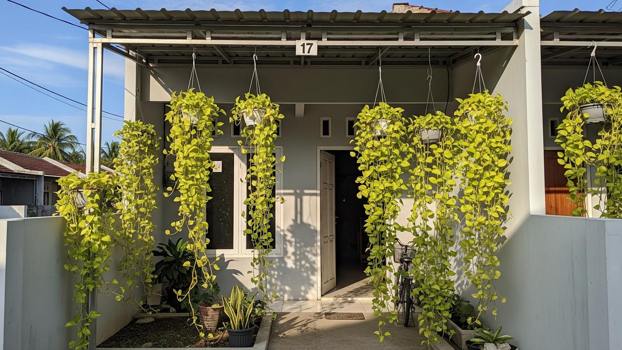 15 Tanaman Gantung untuk Teras Sempit yang Awet Meski Jarang Disiram ...