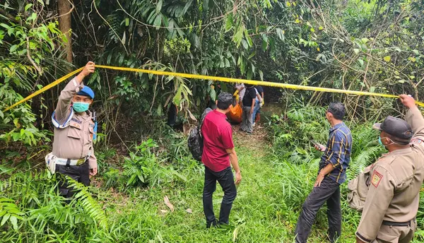 Siapa Msbreewc, Ramai Jadi Sorotan di Media Sosial - Regional Liputan6.com