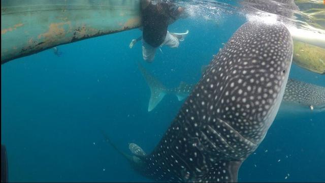 15 Wisata Gorontalo Alam yang Bagus dan Memesona, Wajib Dikunjungi ...