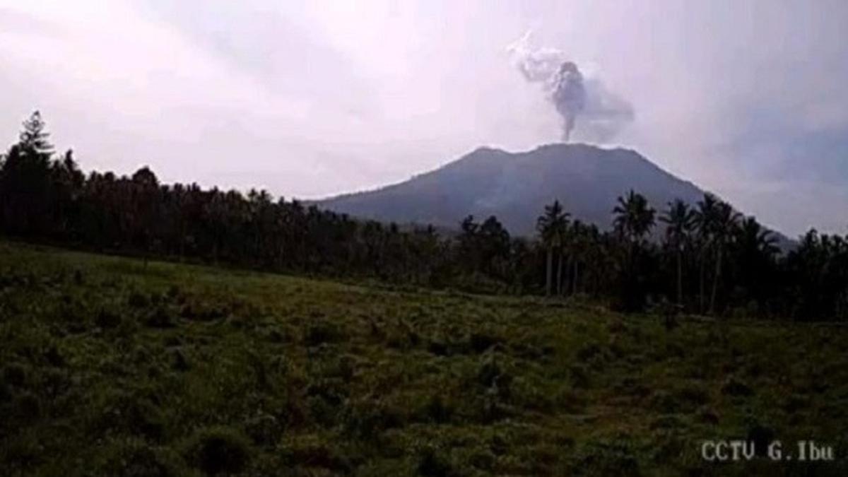 Gunung Ibu Erupsi, Lontarkan Abu Vulkanik Setinggi 800 Meter - Regional Liputan6.com