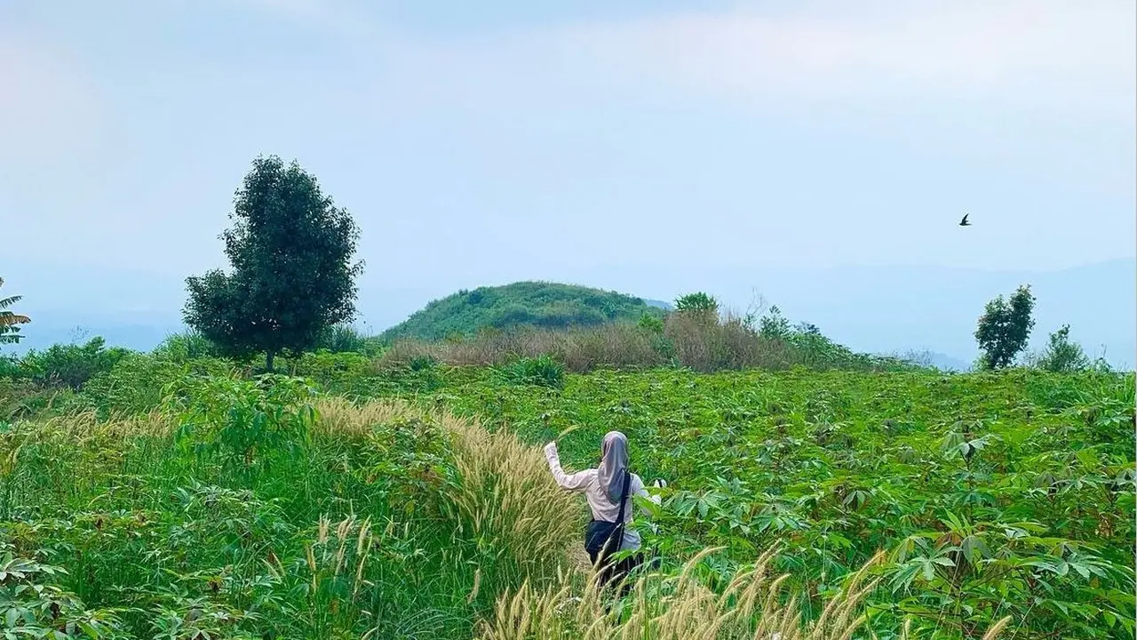 6 Fakta Menarik Gunung Kuta, Objek Wisata Favorit Trekking di Sentul ...