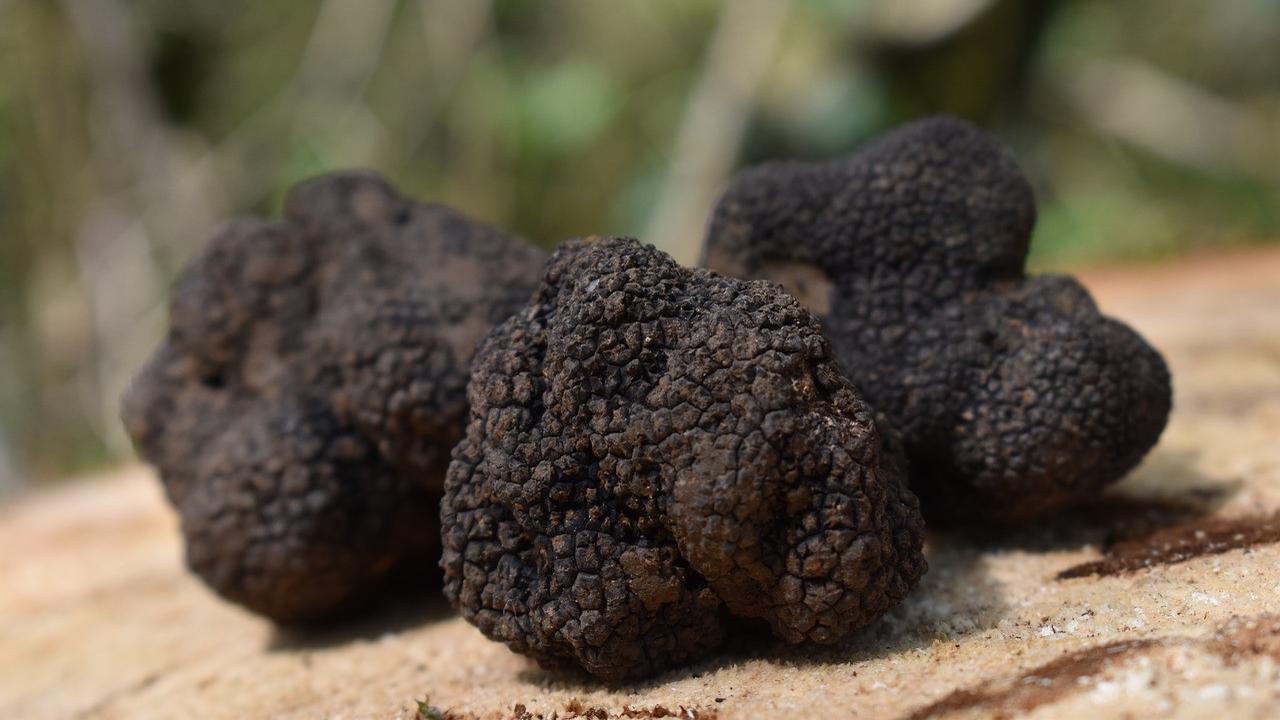 Es Krim Termahal Dibuat dengan Truffle Putih, Seharga Rp99 Juta Minat Beli?