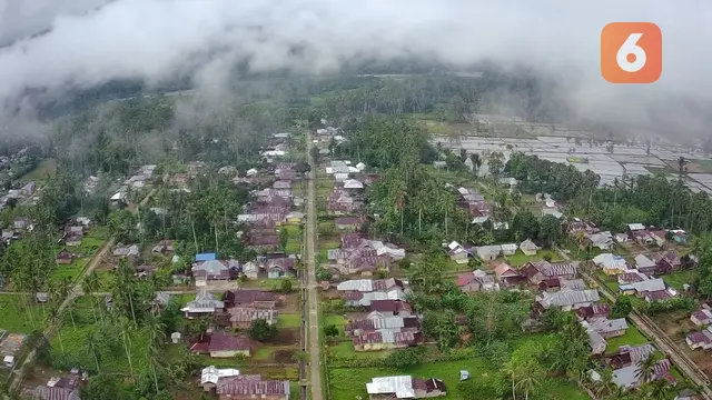 Jejak VOC di Kopi Pinogu, Kopi Organik Bone Bolango yang Melegenda ...