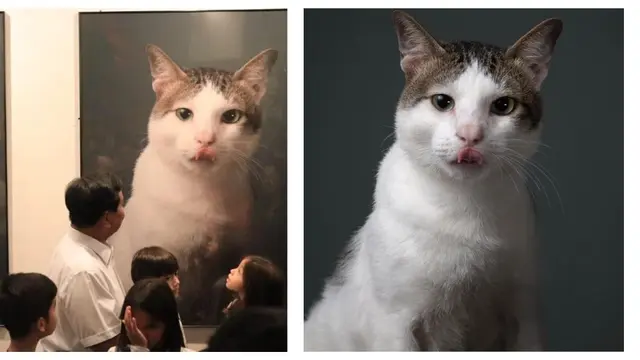 7 Potret Gemas Kucing Prabowo Subianto, Bobby, Mika, Miki, dan Miko ...