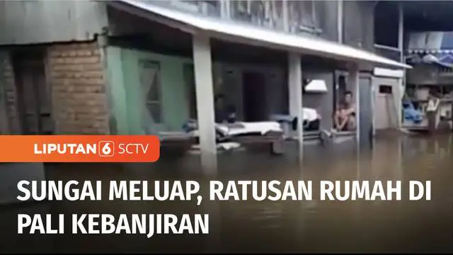 Berita Banjir di Pali Hari Ini - Kabar Terbaru Terkini | Liputan6.com