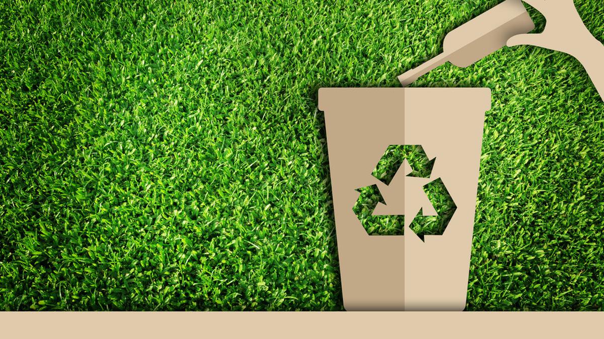 5 Cara Memulai Gaya Hidup Ramah Lingkungan Untuk Menjaga Lingkungan Sekitar