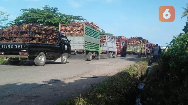 PT Wilmar Nabati Indonesia, Sejarah, dan Produk-produknya