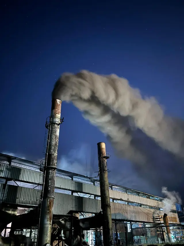 KLH Segel 4 Kebun Sawit dan 1 Pabrik Buntut Bencana Karhutla di Rokan Hilir Riau - Lifestyle ...