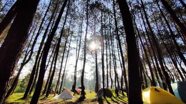 6 Fakta Menarik Gunung Putri Lembang di Bandung Barat yang Dekat dengan ...