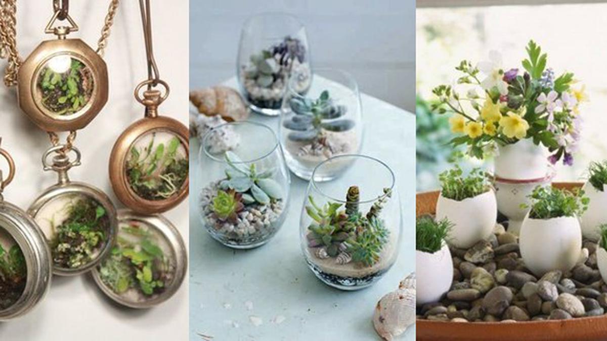 15 Kreasi Membuat Terarium dan Taman Bunga Mini - Photo Fimela.com