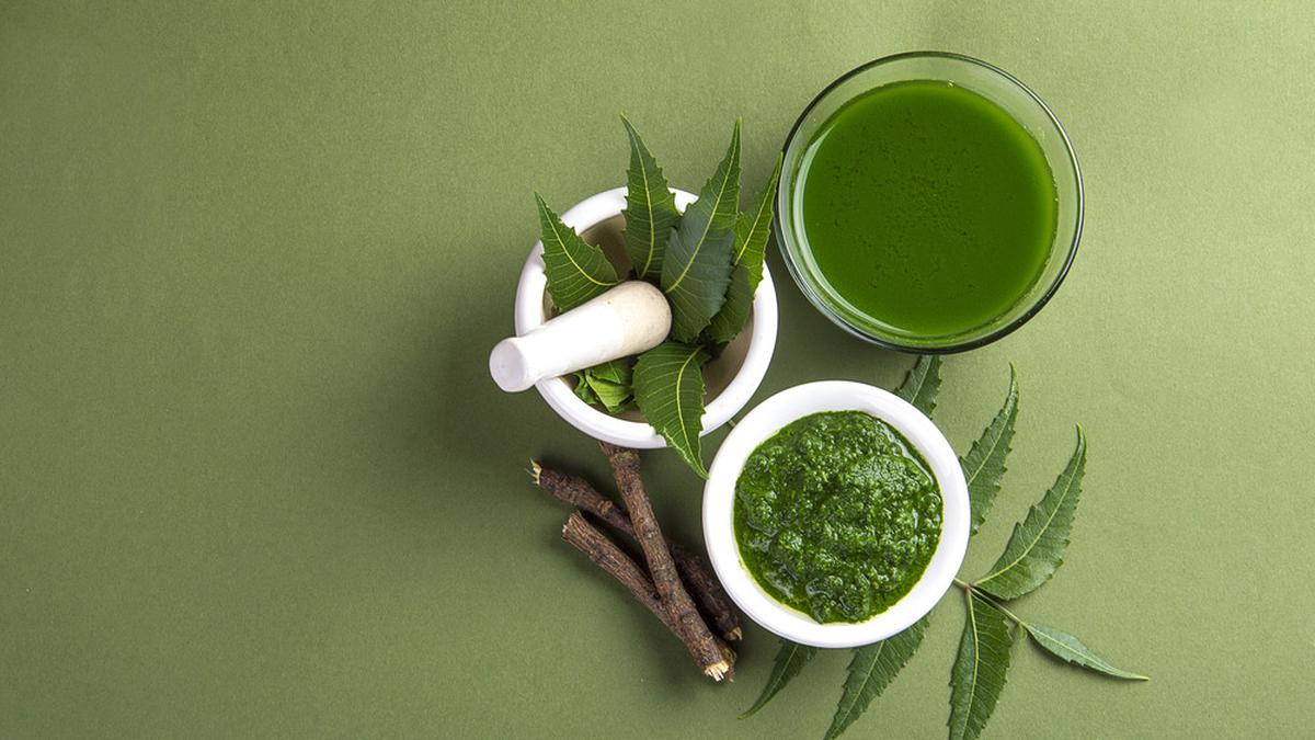 3 Manfaat Daun Neem untuk Merawat Kulit Berjerawat, Yakin Sudah Tahu?