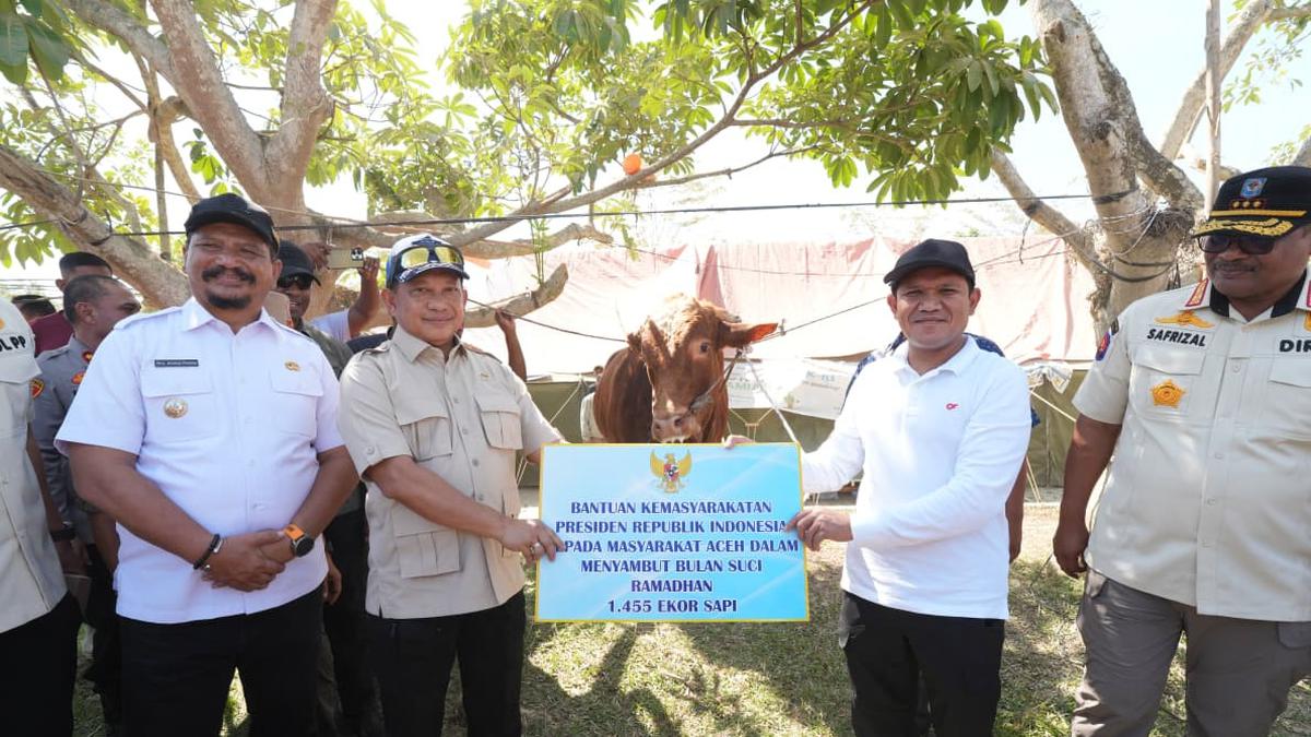 Kasatgas Tito Karnavian Serahkan Bantuan Sapi Presiden Prabowo untuk ...