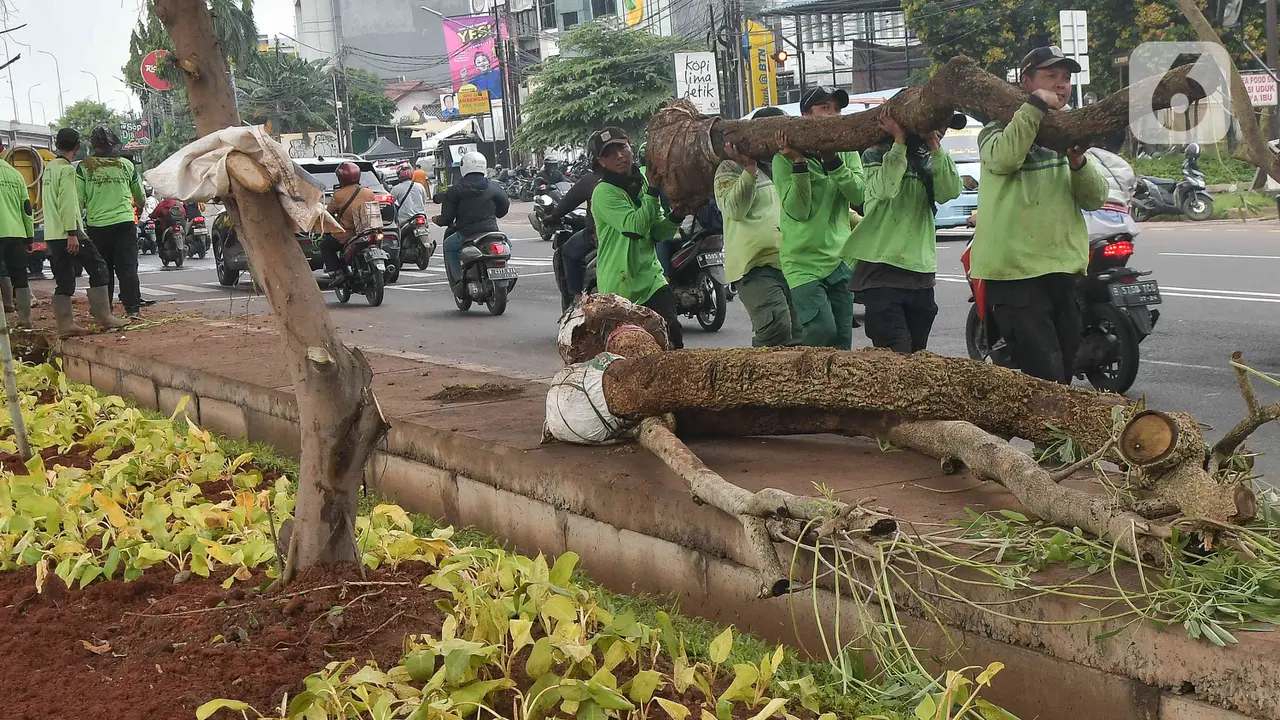 Jaga Kualitas Air, Kolong Tol Becakayu Ditanami Pohon - News Liputan6.com