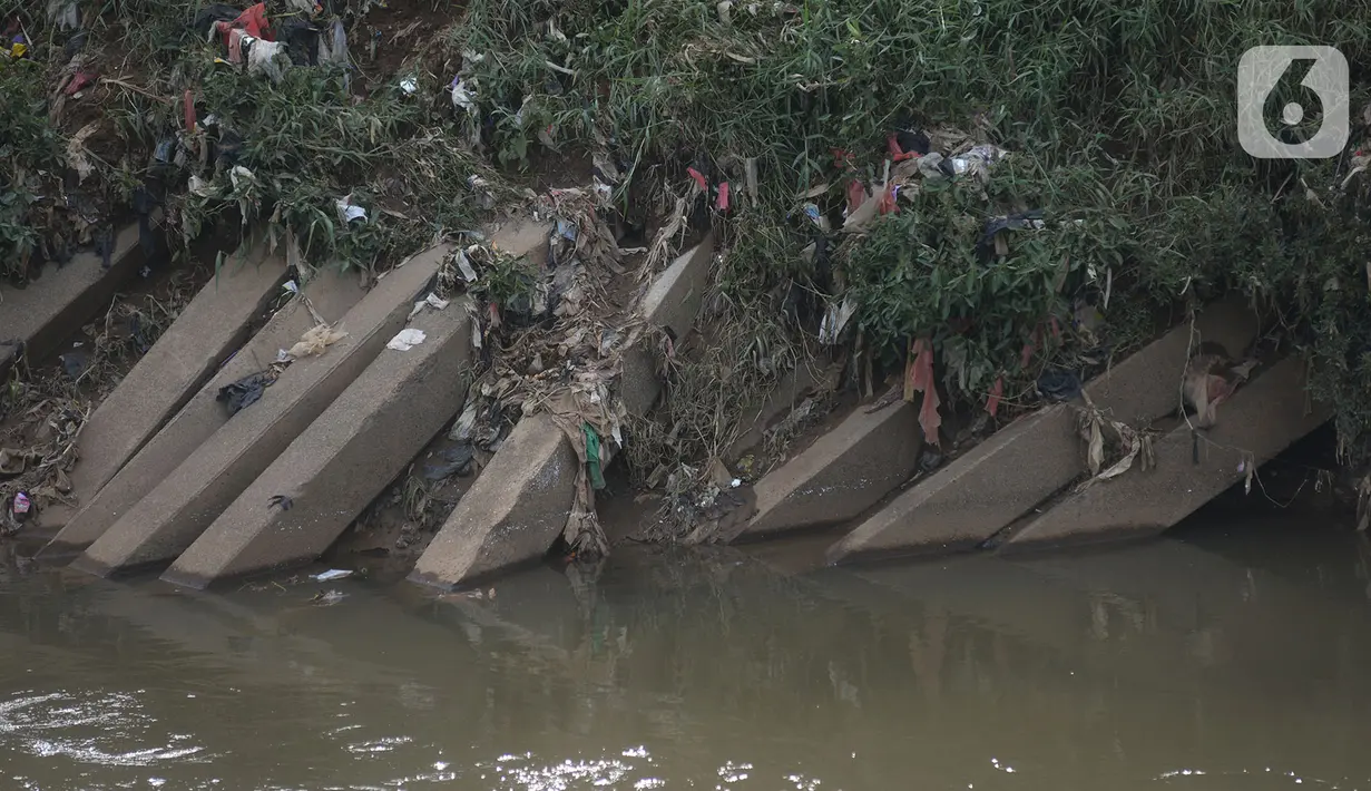 FOTO: Tiang Pancang Turap yang Terbengkalai di Kali Ciliwung - Foto ...