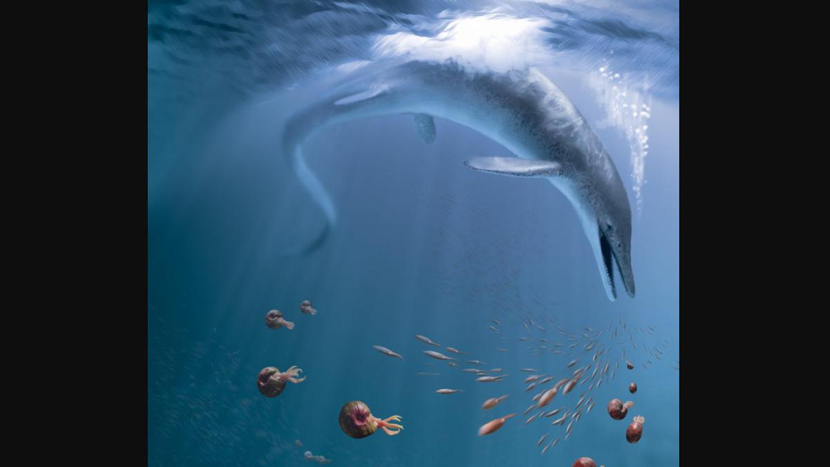 Sosok Monster Laut Raksasa dari 240 Juta Tahun Lalu - Global Liputan6.com