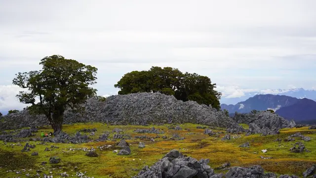 Keindahan Alam Tersembunyi Itu Bernama Gunung Binaiya - Lifestyle ...