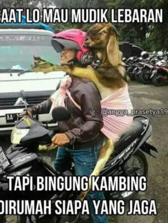 5 Meme Kocak Mudik Lebaran yang Bikin Kita Kangen - Citizen6 Liputan6.com